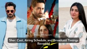 Sher Drama Cast, Schedule & Timings – Danish Taimoor and Sarah Khan ...