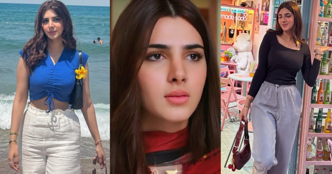 Who Is Nazo From Laadli Unveiling Vaneeza Sattar S Journey In